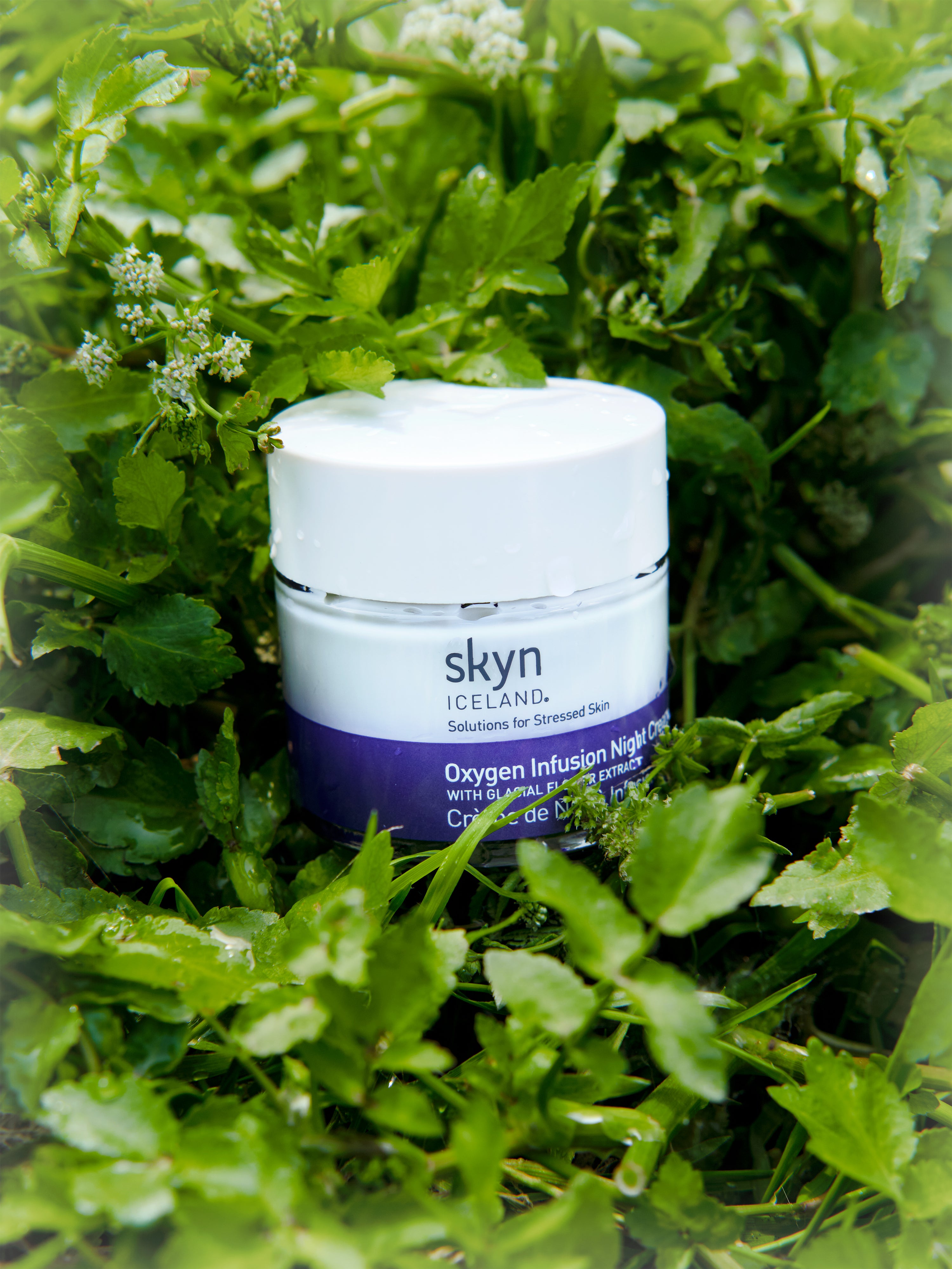 Oxygen Infusion Night Cream with Glacial Flower Extract – Skyn ICELAND